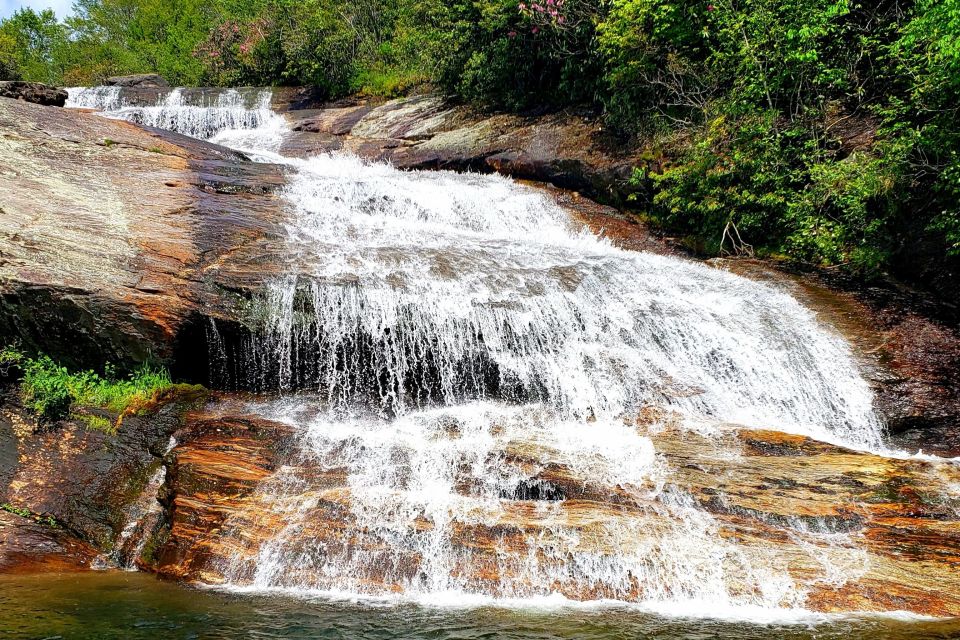 Asheville: Blue Ridge Mountains Tour for Children! - Safety, Comfort, and Practical Tips