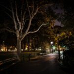 Asheville: Terrors, Boos and Booze Haunted Pub Crawl - Why This Tour Offers Great Value