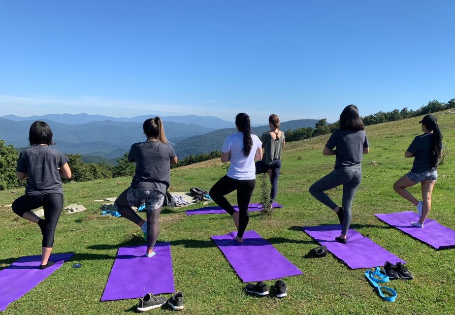 Asheville: Yoga on a Mountain Hike - The Review from Participants