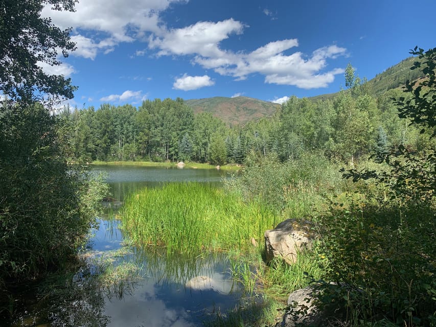 Aspen: Guided Light Hike with Roaring Fork River Views - Key Points