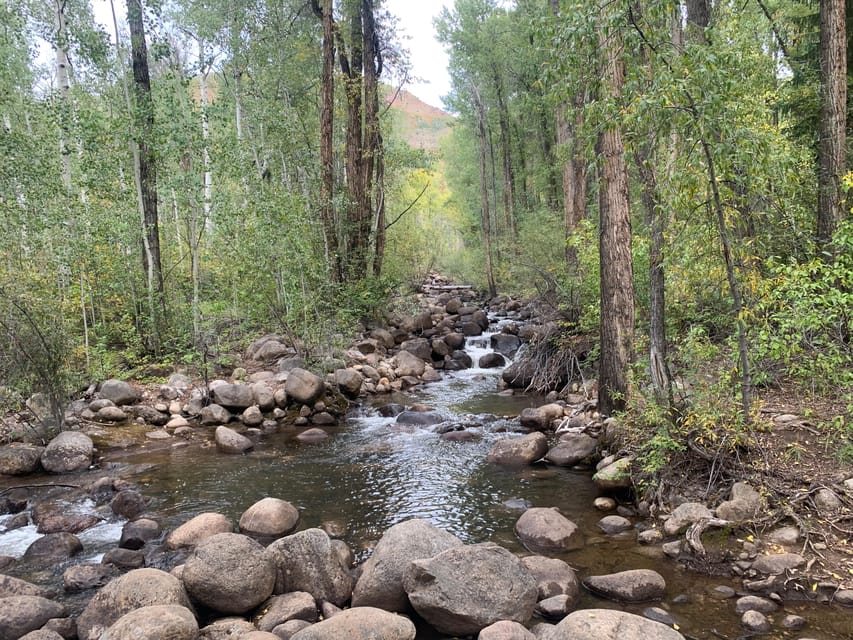 Aspen: Guided Light Hike with Roaring Fork River Views - What to Expect on the Tour
