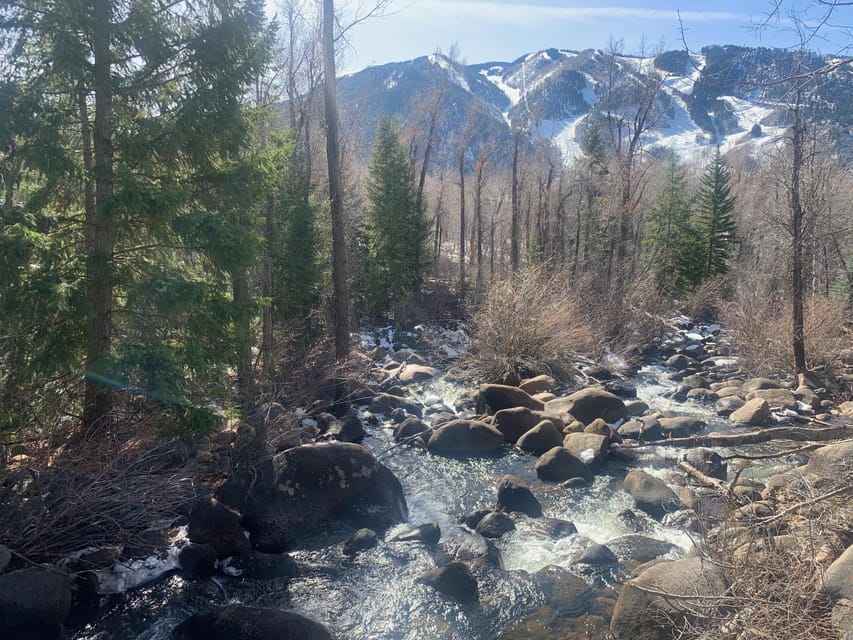 Aspen: Guided Light Hike with Roaring Fork River Views - In-Depth Breakdown of the Itinerary