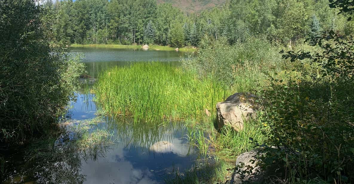 Aspen: Guided Light Hike with Roaring Fork River Views - Who Will Love This Tour?