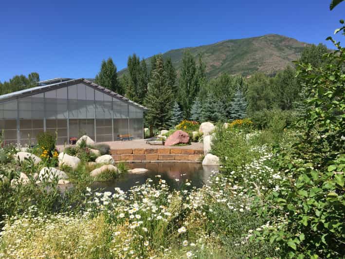 Aspen's Off the Beaten Path Scenic Walking Tour - The Itinerary Breakdown: What to Expect on Your Walk