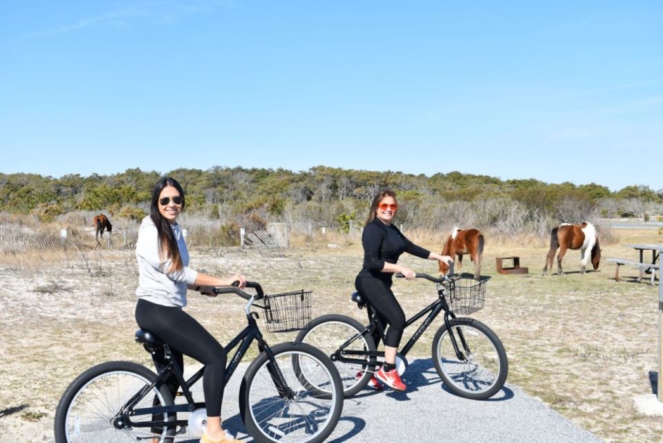 Assateague Island: Bike Rental from the Bayside Stand - What You Can Expect During Your Ride