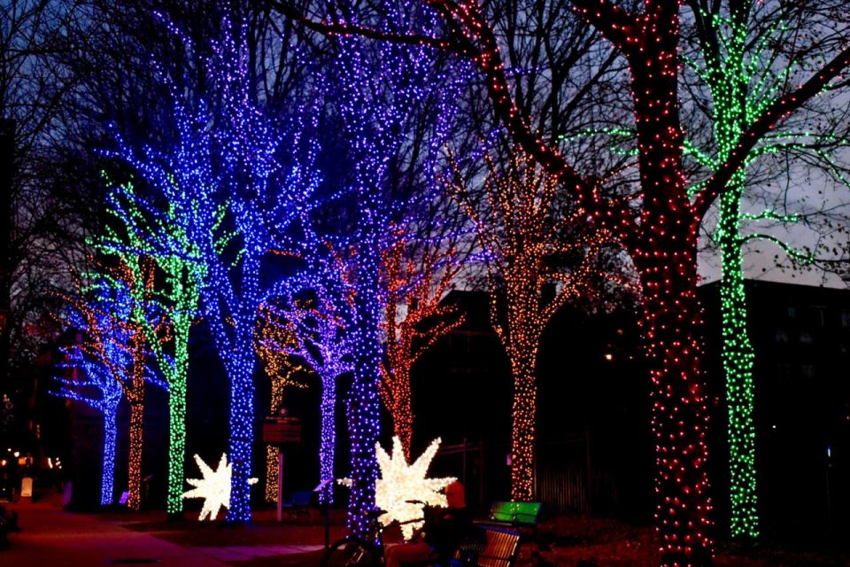 Atlanta: Christmas Walking Tour - A Genuine Deep Dive into the Atlanta Christmas Walking Tour
