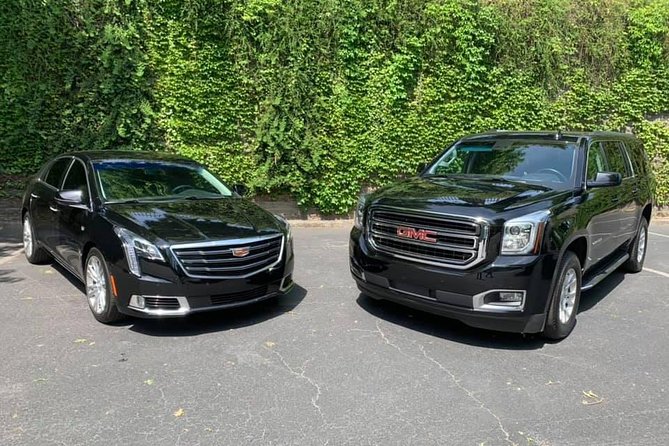 Atlanta City Tour by Private Car Service - Transportation and Logistics