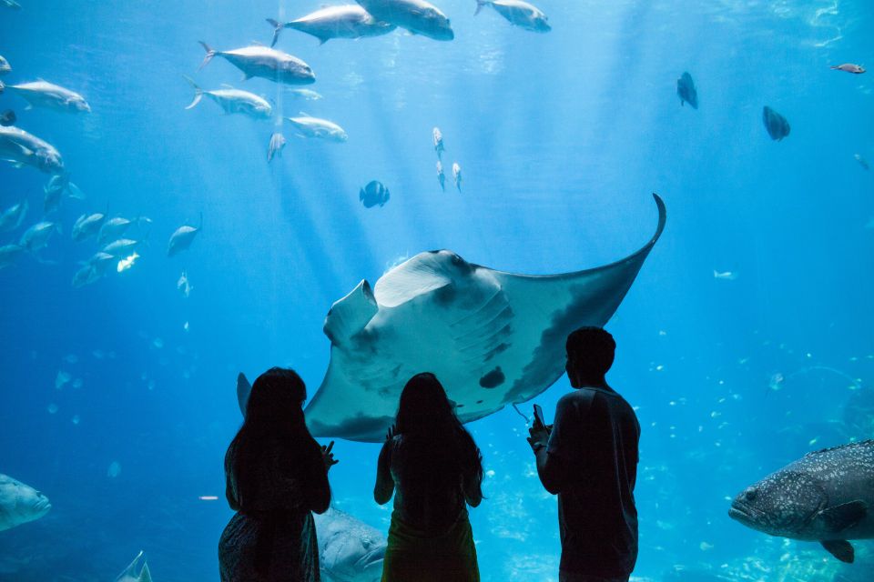 Atlanta CityPASS®: Save up to 49% at 5 Top Attractions - Key Points  