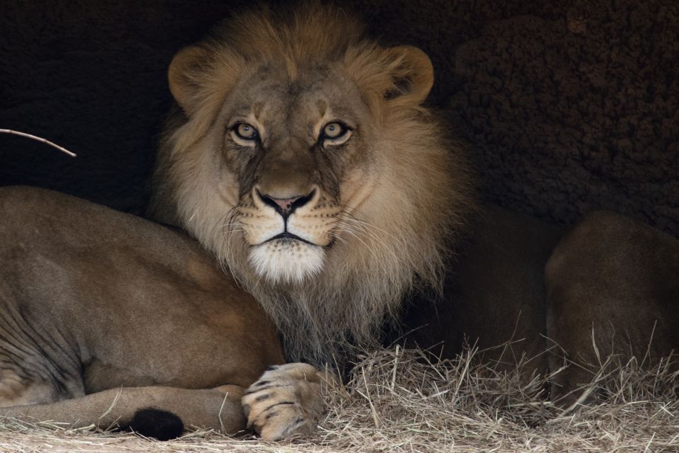 Atlanta CityPASS®: Save up to 49% at 5 Top Attractions - Frequently Asked Questions