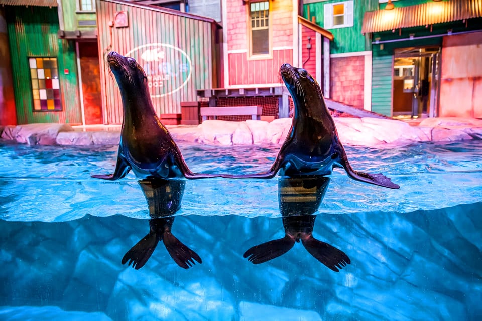 Atlanta: Georgia Aquarium Skip-the-Box-Office Entry Ticket - What to Expect at the Georgia Aquarium