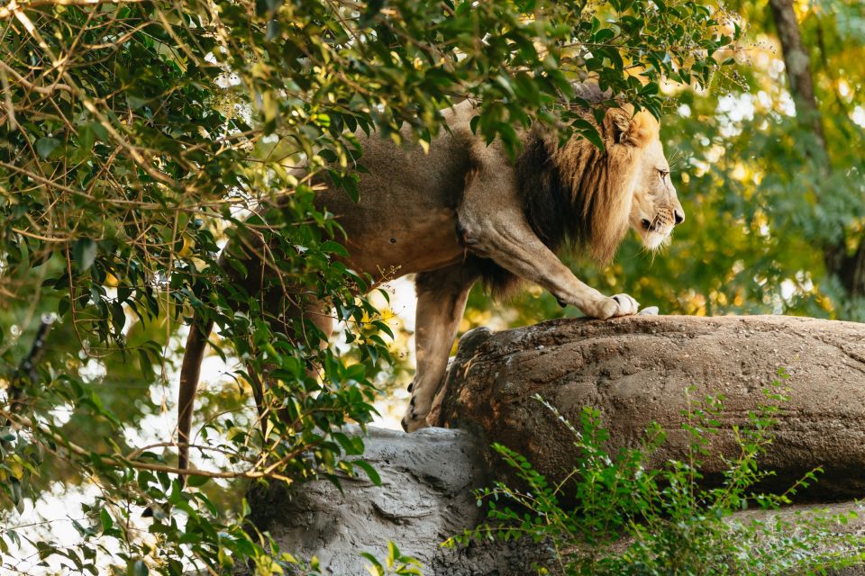 Atlanta: Zoo Atlanta General Admission Ticket - Authenticity and Real Visitor Experiences
