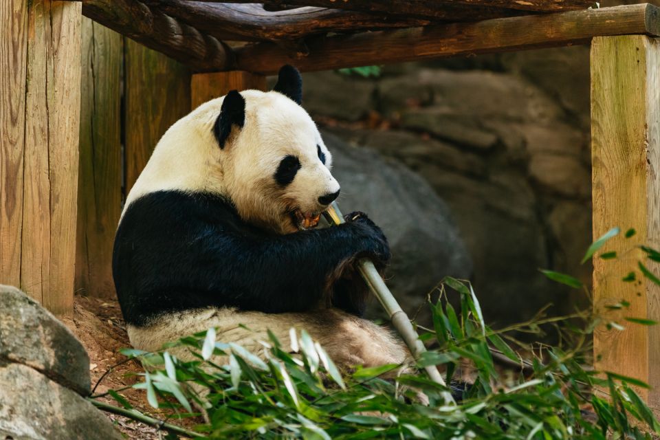 Atlanta: Zoo Atlanta General Admission Ticket - The Sum Up
