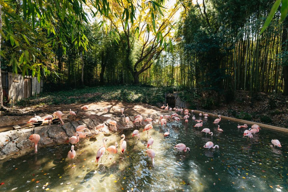 Atlanta: Zoo Atlanta General Admission Ticket - FAQ
