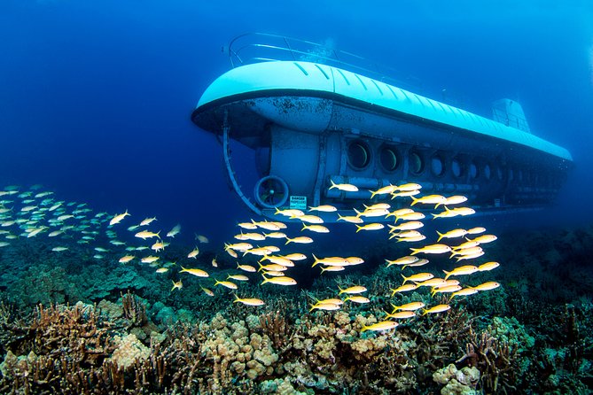 Atlantis Submarine from Kona Beach - The Experience in Detail