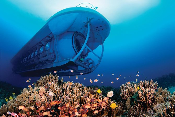 Atlantis Submarine from Kona Beach - Final Thoughts