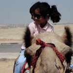 ATV Giza Pyramid Tour with Camel Ride and Lunch - A Deep Dive into the Giza Pyramid Tour Experience