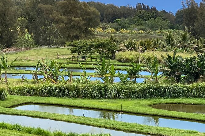 ATV Ranch ride Big Island Hawaii - What Travelers Say