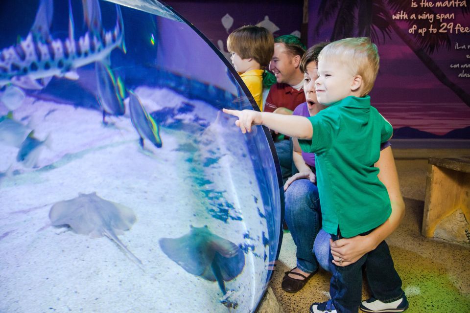 Auburn Hills: Legoland and Sea Life Aquarium Combo Ticket - What to Expect at Auburn Hills: Legoland & Sea Life Aquarium