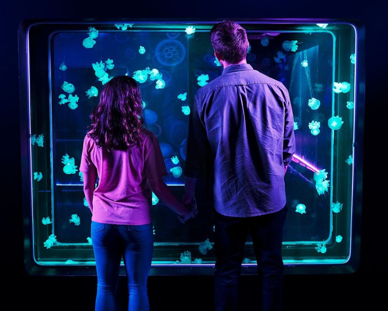 Auburn Hills: Legoland and Sea Life Aquarium Combo Ticket - Who Will Love This Experience?