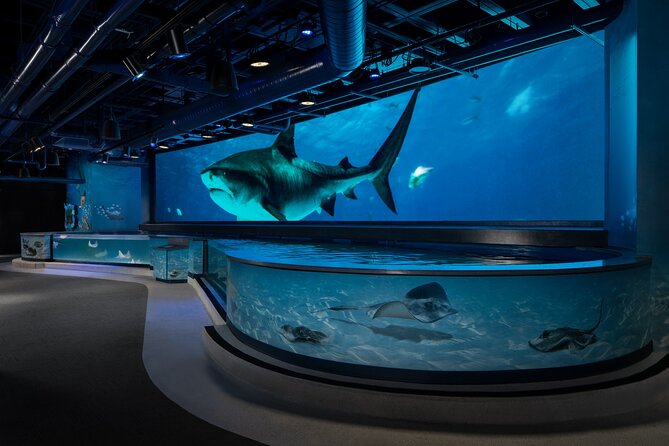 Audubon Aquarium & Insectarium Ticket - An In-Depth Look at the Experience
