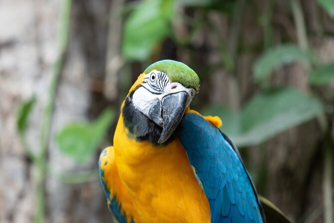 Audubon Aquarium & Insectarium Ticket - FAQs