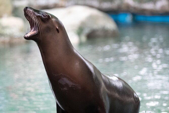 Audubon Zoo Ticket - Key Points