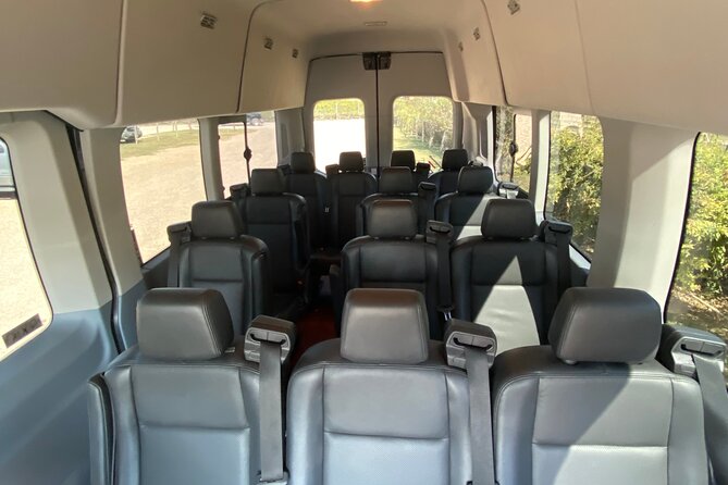 Austin Bergstrom Airport Personal pickup for up to 14 guests! - The Ride: Comfort and Convenience