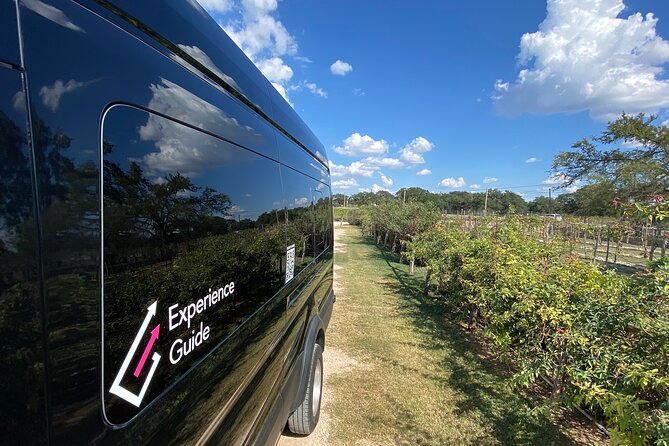 Austin Bergstrom Airport Personal pickup for up to 14 guests! - Pricing and Value