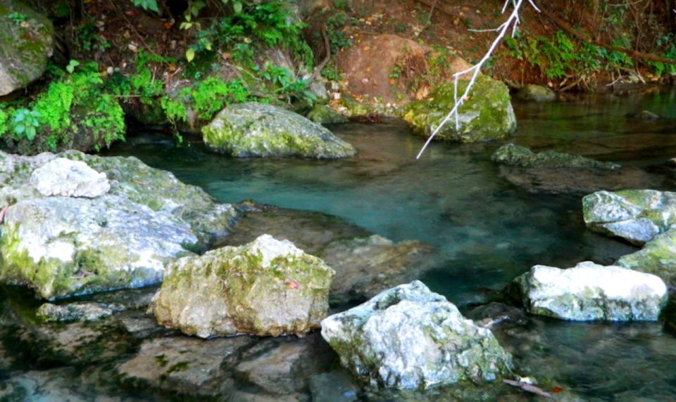 Austin: Journey to the Springs Guided Tour - The Guides and Their Impact