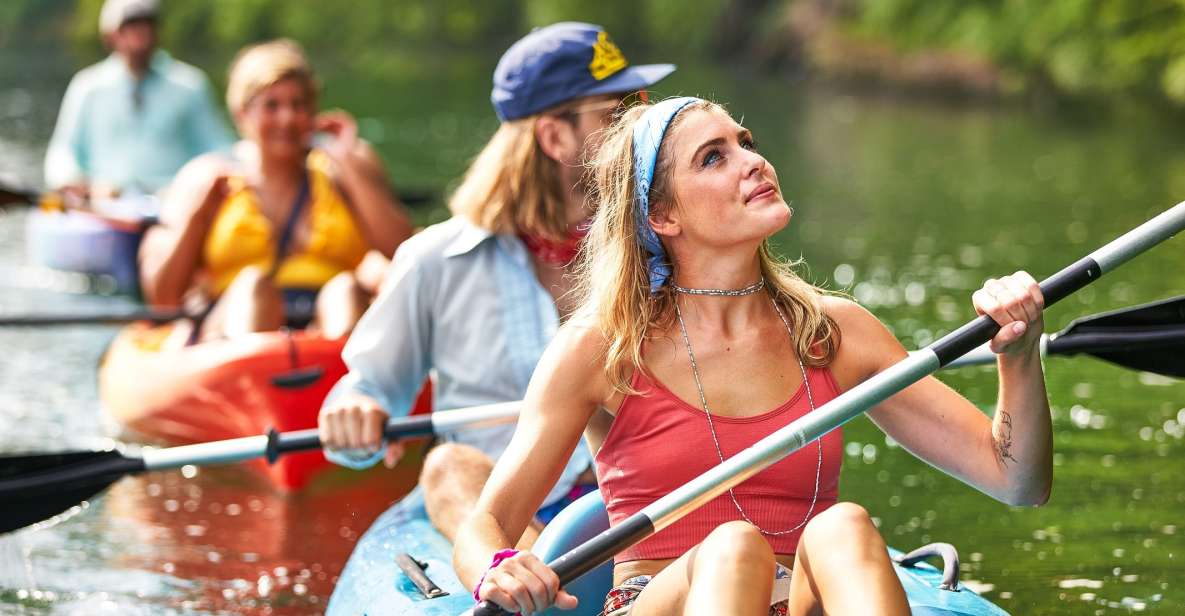 Austin: Journey to the Springs Guided Tour - The Practicalities and Pricing