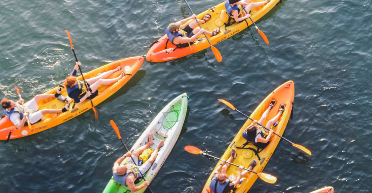 Austin: Single or Double Kayak Rental - Why You Should Try It