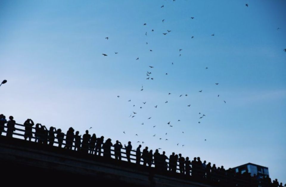 Austin: Sunset Boat Cruise with Bat Watching - FAQ