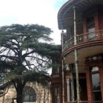 Austins Art and Architecture Panoramic Tour - Authentic Traveler Insights & Practical Tips