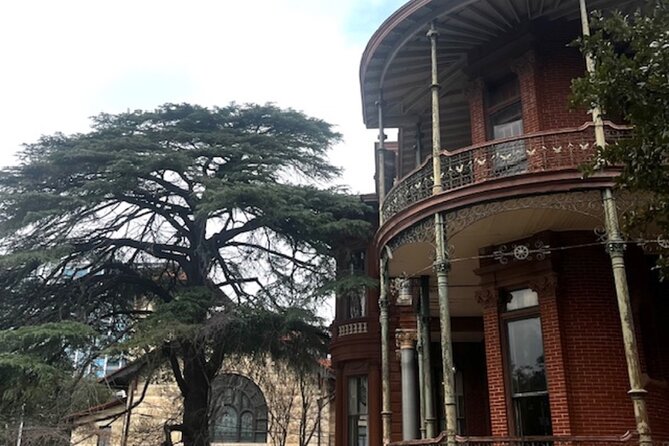 Austins Art and Architecture Panoramic Tour - Authentic Traveler Insights & Practical Tips