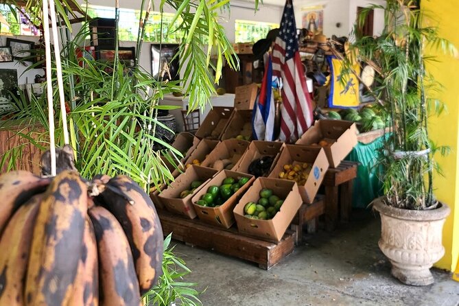 Authentic Little Havana Food and Culture Walking Tour - FAQ