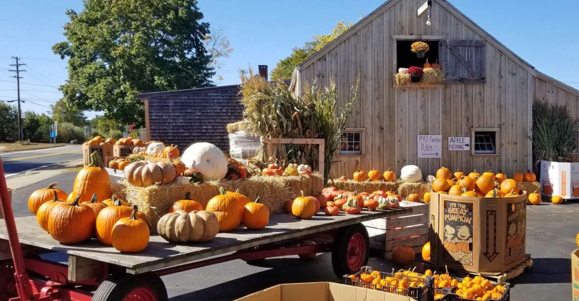 Autumn in New England - Why You Might Enjoy This Tour