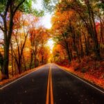 Autumn Romance Escape: A Nashville Couples' Getaway - What’s Included & What to Expect