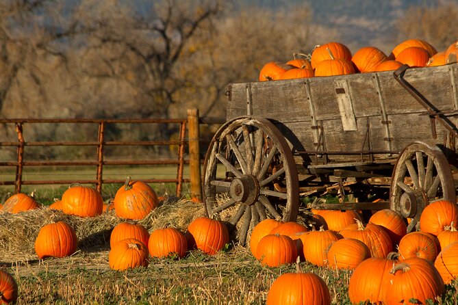 Autumn Romance Escape: A Nashville Couples' Getaway - Analyzing the Value