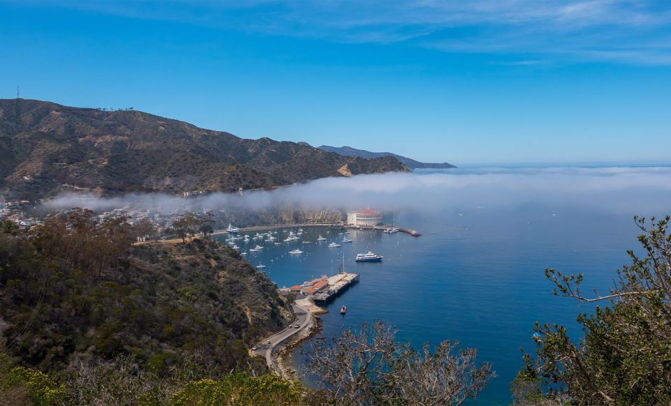 Avalon, Catalina Island: 2-Hour Inside Adventure Tour - An In-Depth Look at the Inside Adventure Tour