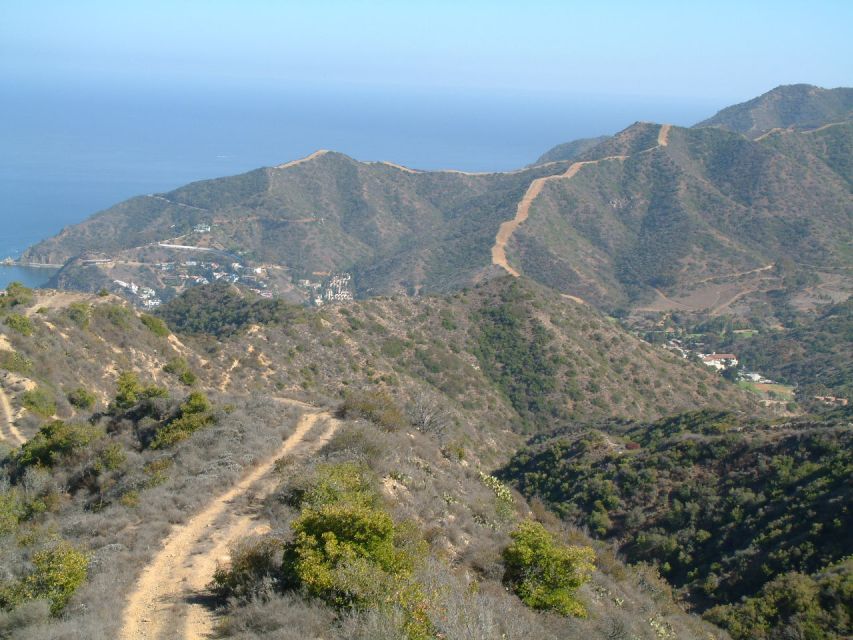 Avalon, Catalina Island: 2-Hour Inside Adventure Tour - Practical Aspects of the Tour
