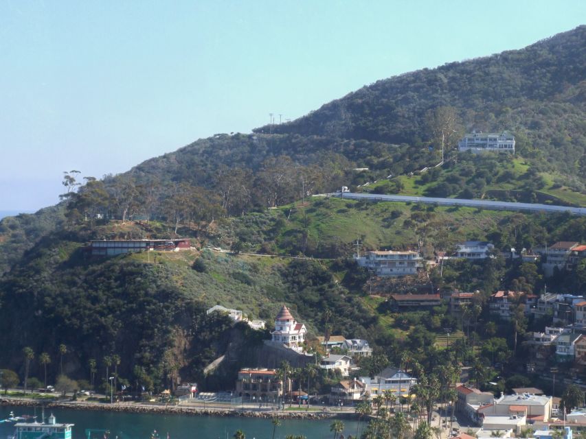 Avalon, Catalina Island: 2-Hour Inside Adventure Tour - Who Will Love This Tour?