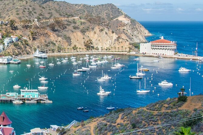 Avalon City: A Self-Guided Audio Tour - Why This Tour Is a Great Value