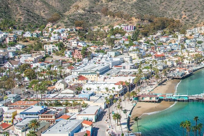 Avalon City: A Self-Guided Audio Tour - Who Should Consider This Tour?