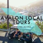 Avalon: Private Golf Cart Tour with Driver-Guide - Who Will Love This Tour?