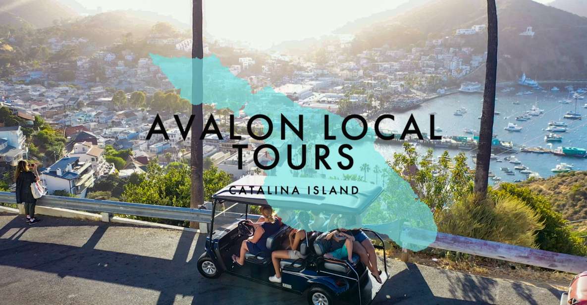 Avalon: Private Golf Cart Tour with Driver-Guide - Who Will Love This Tour?