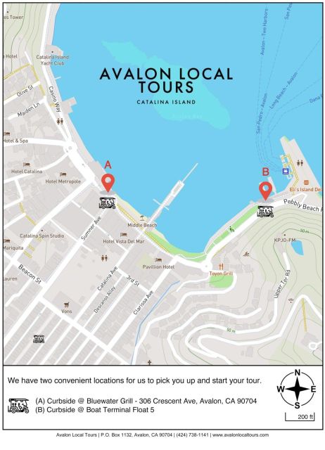 Avalon: Private Golf Cart Tour with Driver-Guide - The Sum Up