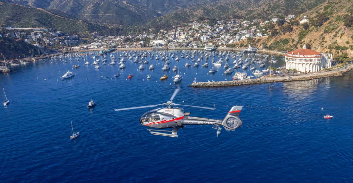 Avalon: Santa Catalina Island Aerial Helicopter Tour - An In-Depth Look at the Avalon Helicopter Tour