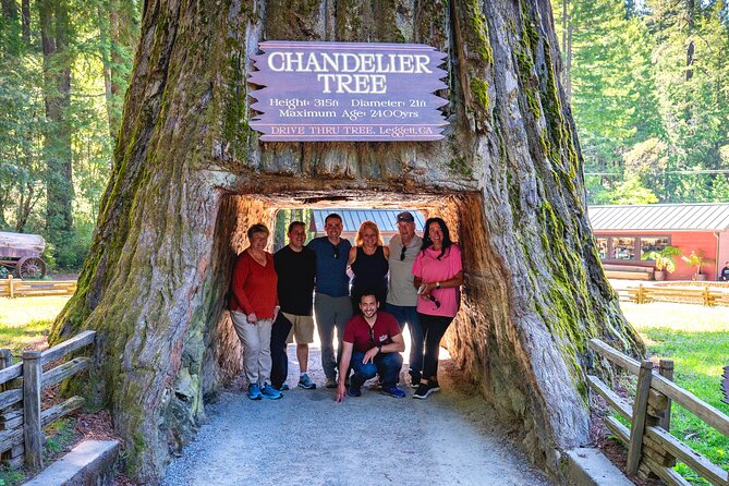 Avenue of the Giant Redwood Private 1 day Tour from San Francisco - The Itinerary: What You Can Expect