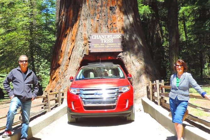 Avenue of the Giant Redwood Private 1 day Tour from San Francisco - The Price and Its Value