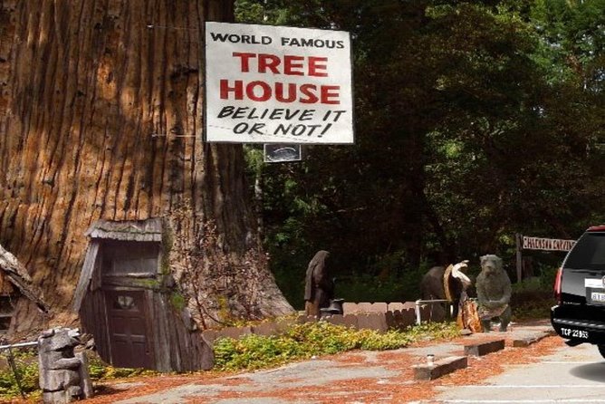 Avenue of the Giant Redwood Private 1 day Tour from San Francisco - Who Is This Tour Best For?